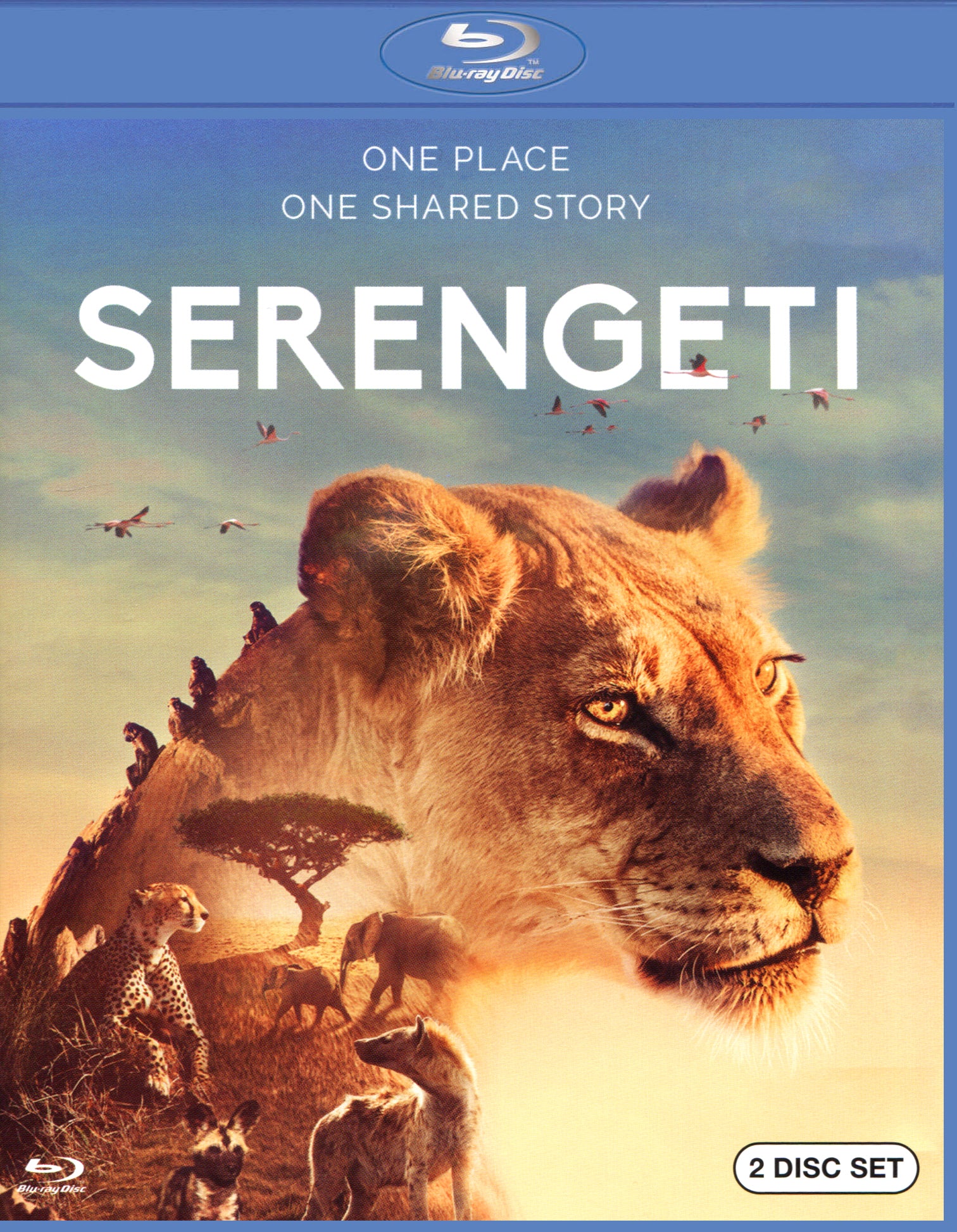 Serengeti [Blu-ray] – MovieMars