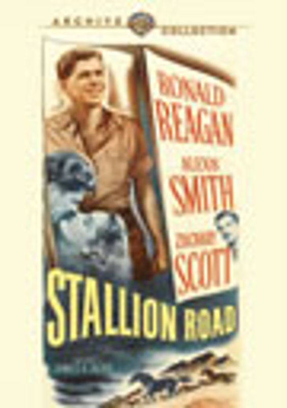 Stallion Road – MovieMars