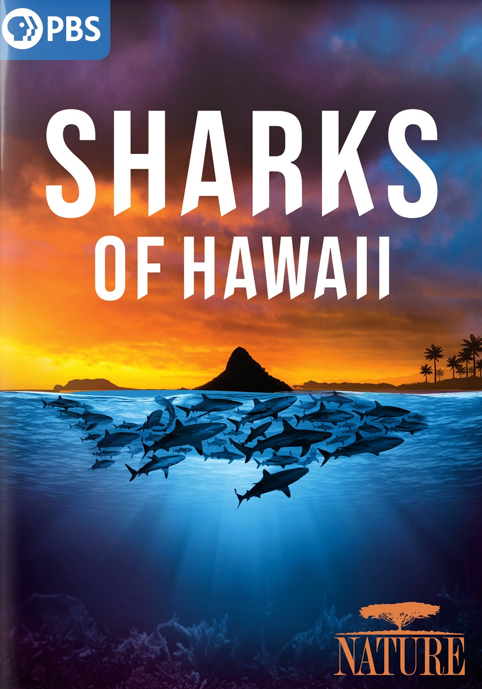 Nature: Sharks of Hawaii – MovieMars