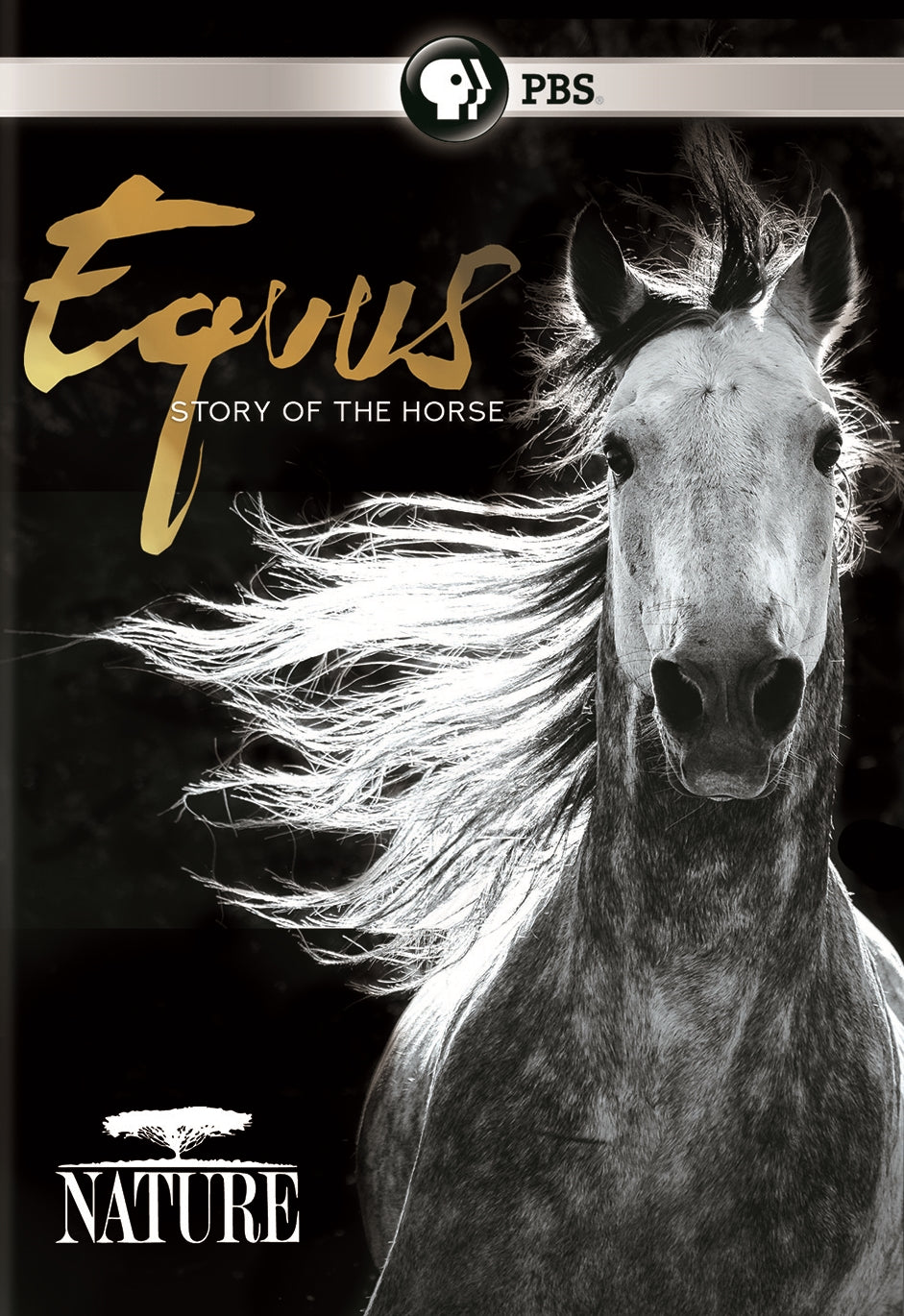 Nature: Equus - Story of the Horse – MovieMars