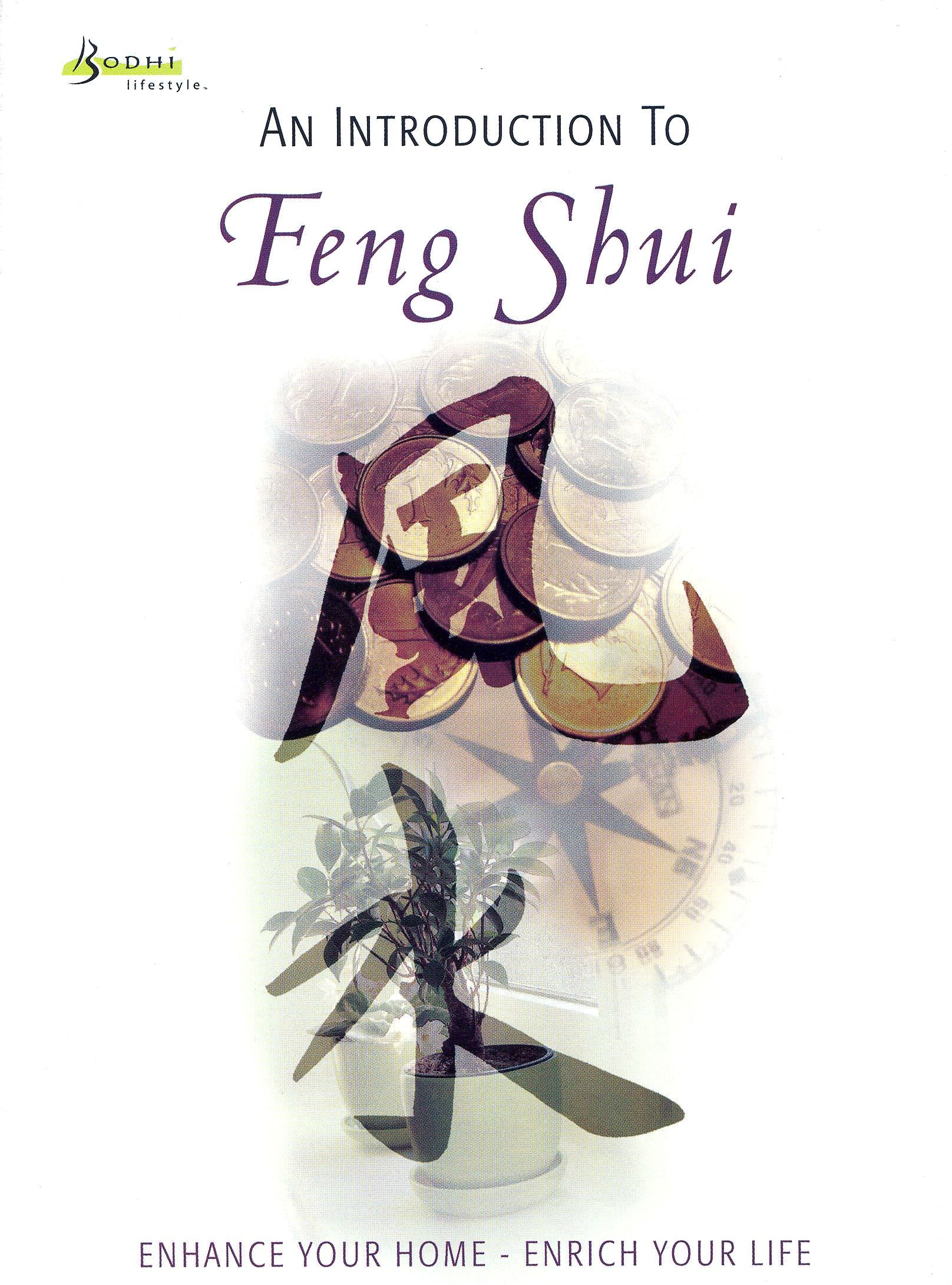 Introduction to Feng Shui – MovieMars