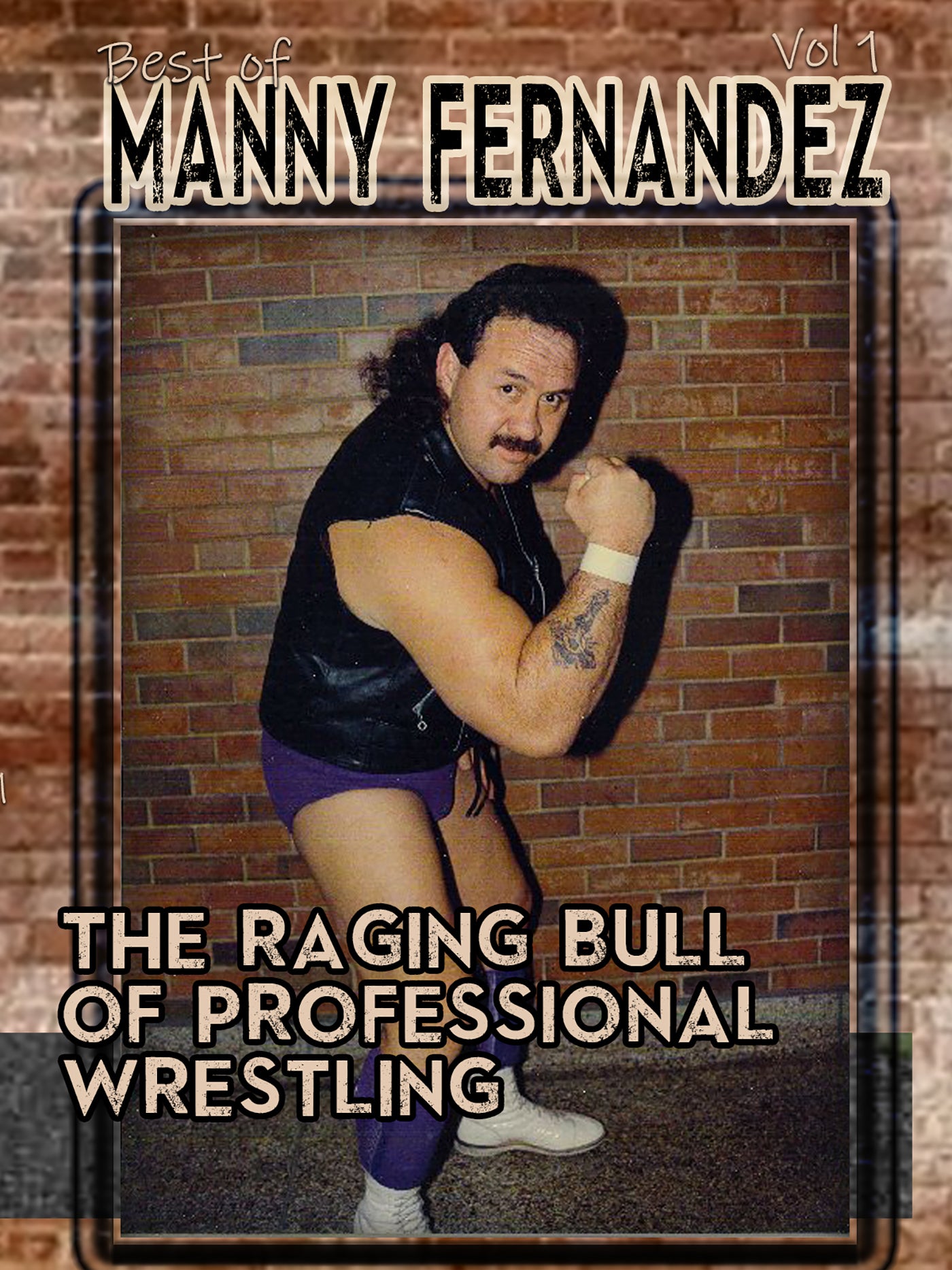 Manny Fernandez - Best Of Manny Fernandez Vol 1 – MovieMars