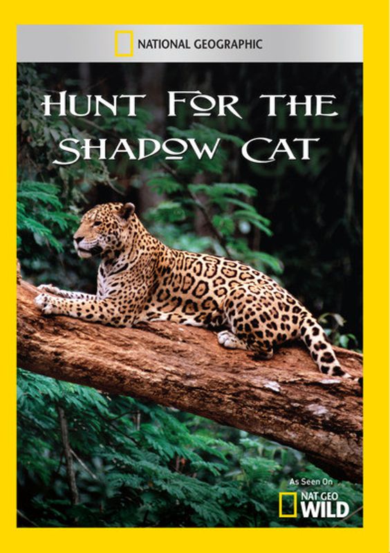 Hunt for the Shadow Cat – MovieMars